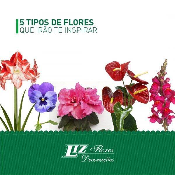 5 tipos de flores que irão te inspirar | Liz Flores